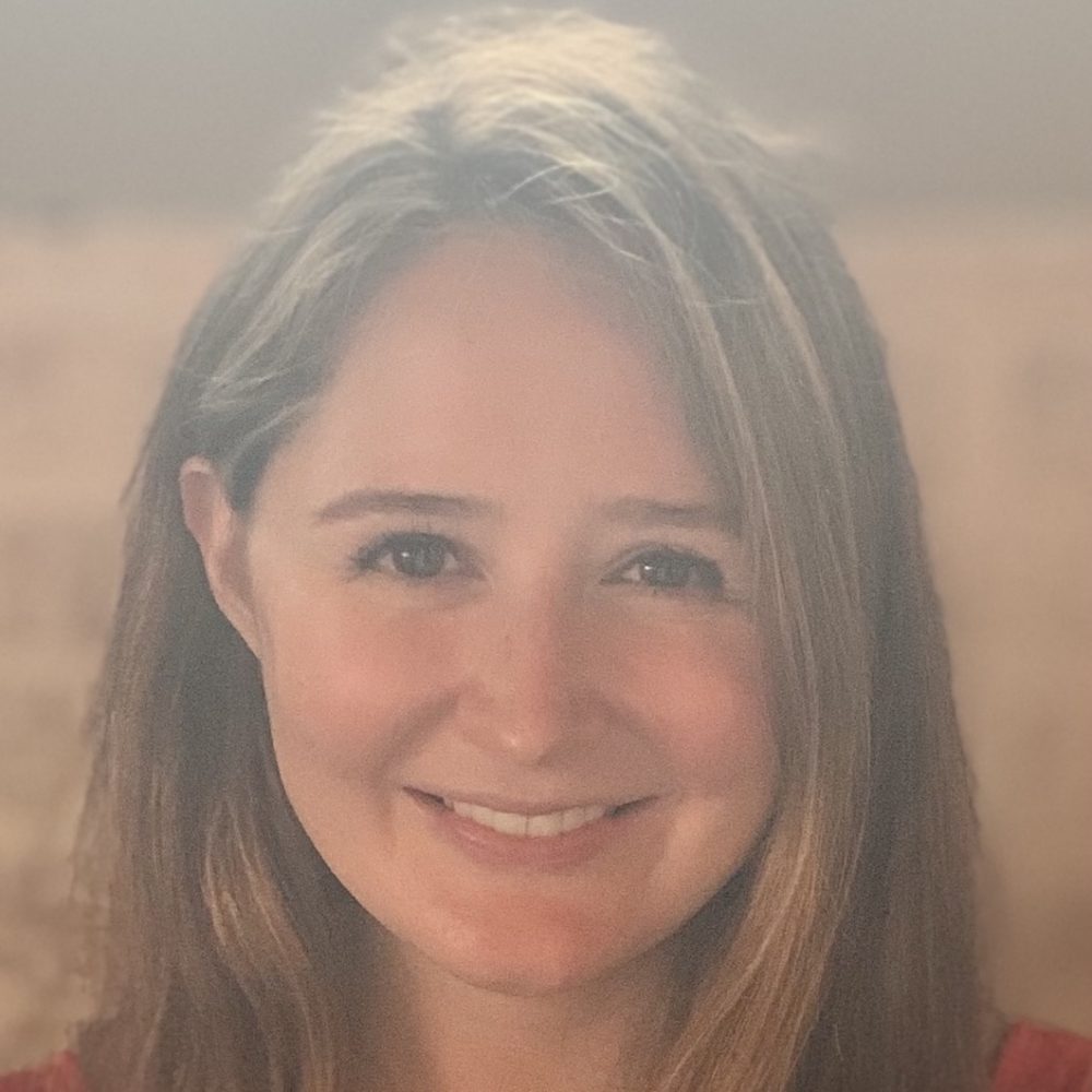 Speech and Occupational therapist professionals at Blossom Therapy